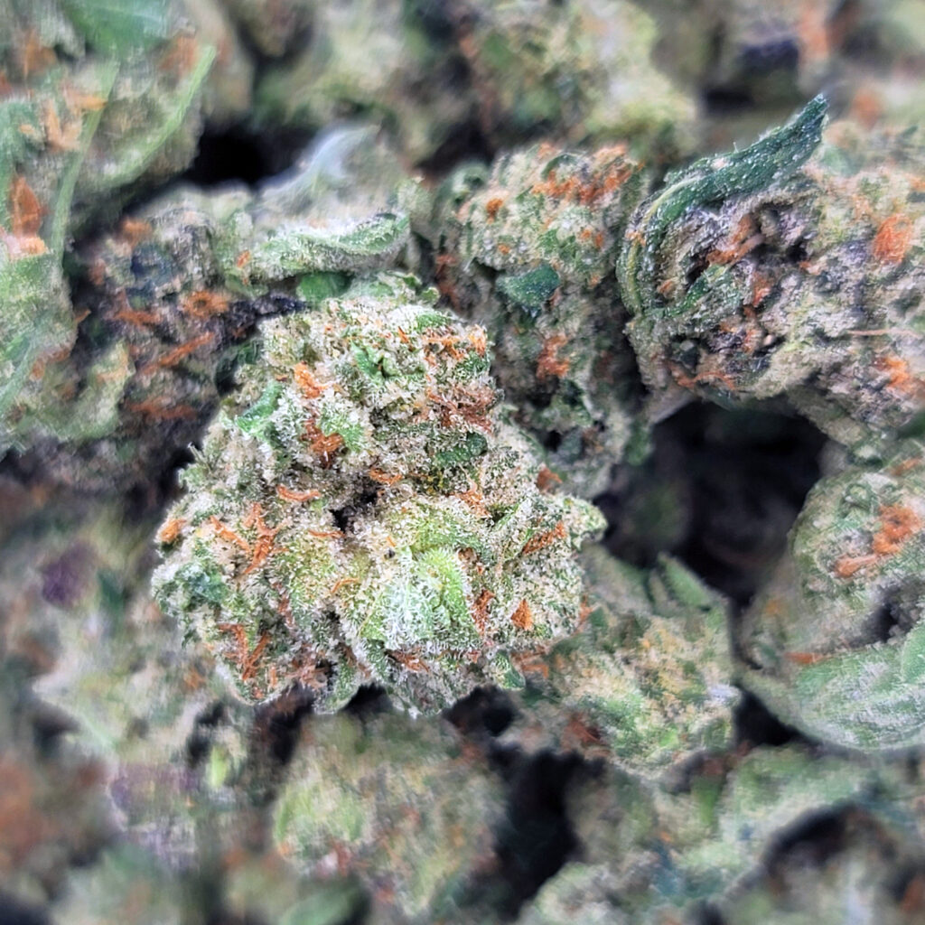 Pie in the Sky Mid-Size Nugs (20%–29% THC) | Sativa-Dom hybrid - Magic ...